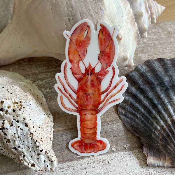 Lobster Decal - Etsy