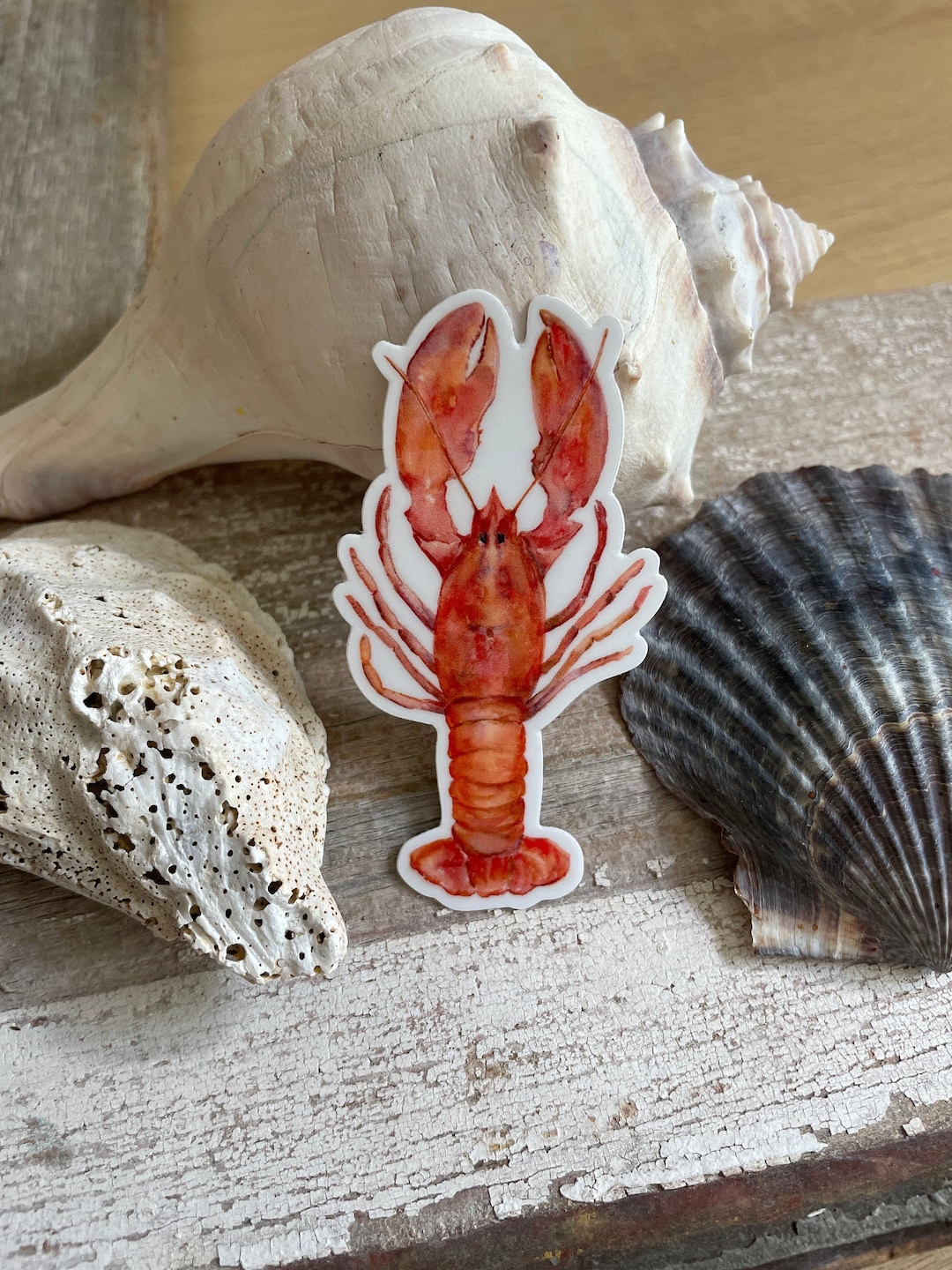 Cape Cod Lobster Decal, Coastal Ocean Sticker, Shellfish Decal - Etsy