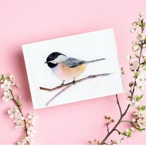 Chickadee Note Cards, Watercolor Cards Set, Blank Notecards, Bird Note Cards Set - Etsy