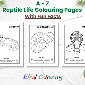 A-Z Reptile Life Coloring Pages - 26 Educational Colouring Sheets ...