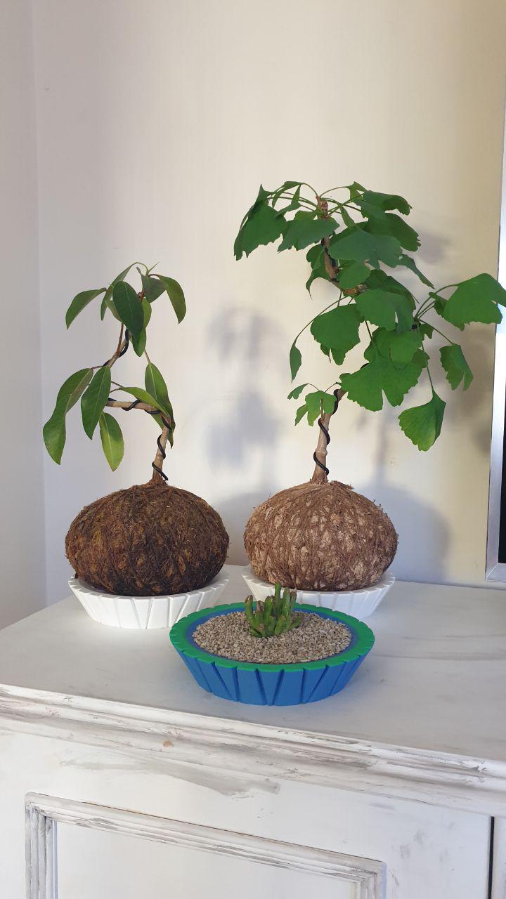 3D Print STEP File Kokedama Stand Succulent Plant Indoor Pot Deco ...