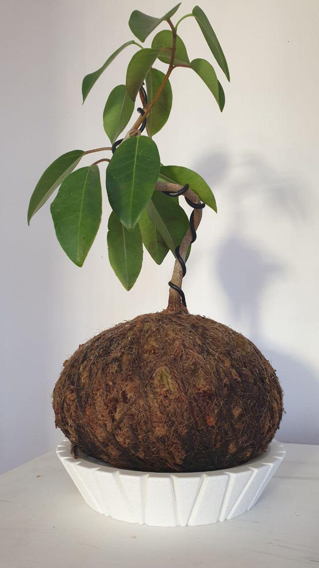 3D Print STEP File Kokedama Stand Succulent Plant Indoor Pot Deco ...