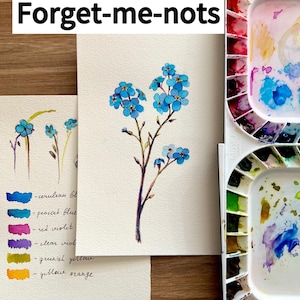 Forget-me-nots Drawing Outline PDF Digital Download for Coloring or ...
