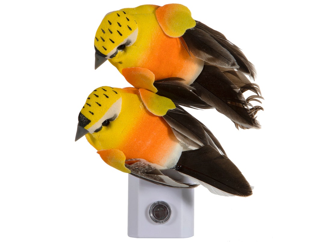 Fanciful Birds in Flight Night Light Hand Crafted Auto Sensor LED ...