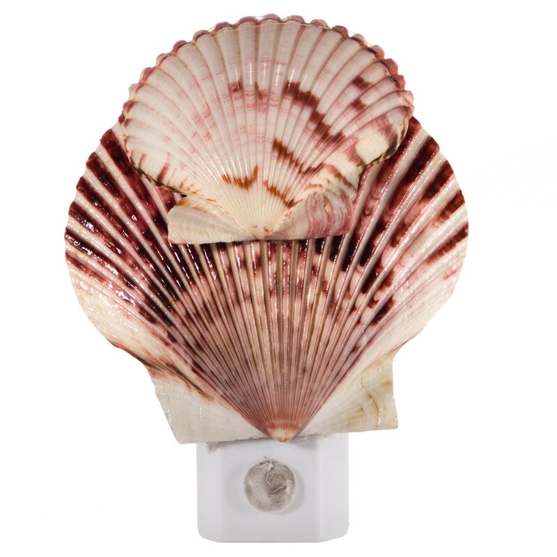 Seashell Night Light - Etsy