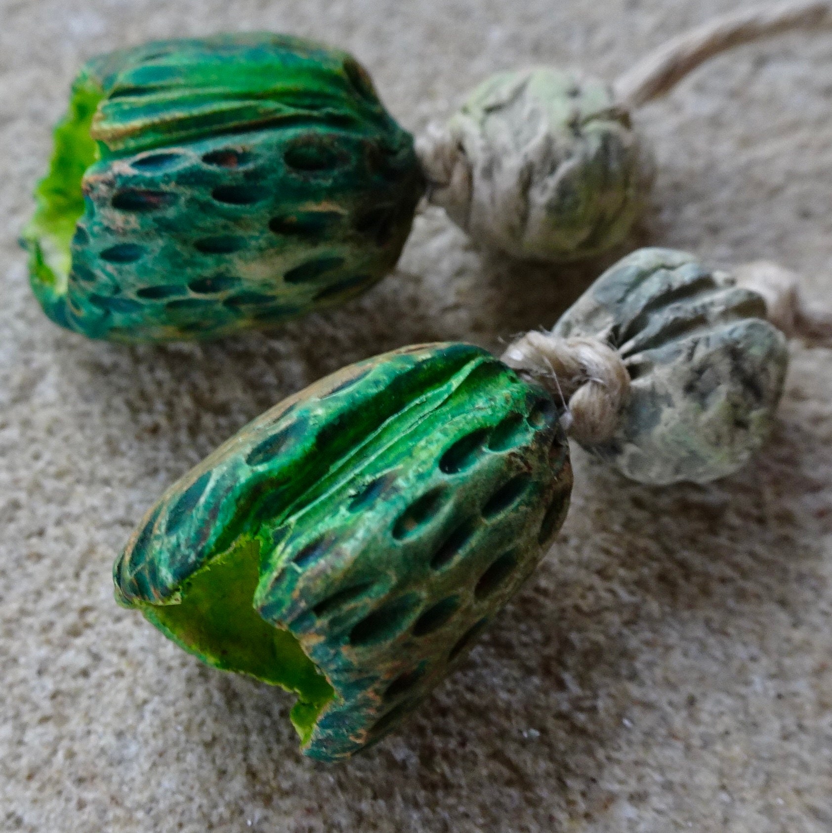 PAIR Spring Germination Seedling Handmade Sculpted Ceramic Flower Pod ...