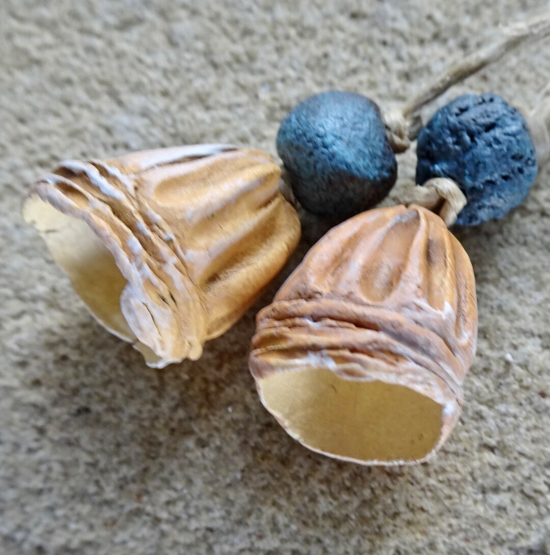 Shell Shore Line Summer Textured Sculpted Porcelain Pod Bead Set Cream ...