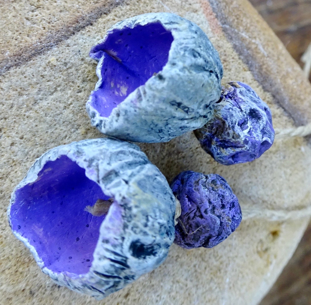 PAIR Shell Beach Shore Line Summer Beach Textured Ceramic Pod Bead Set ...