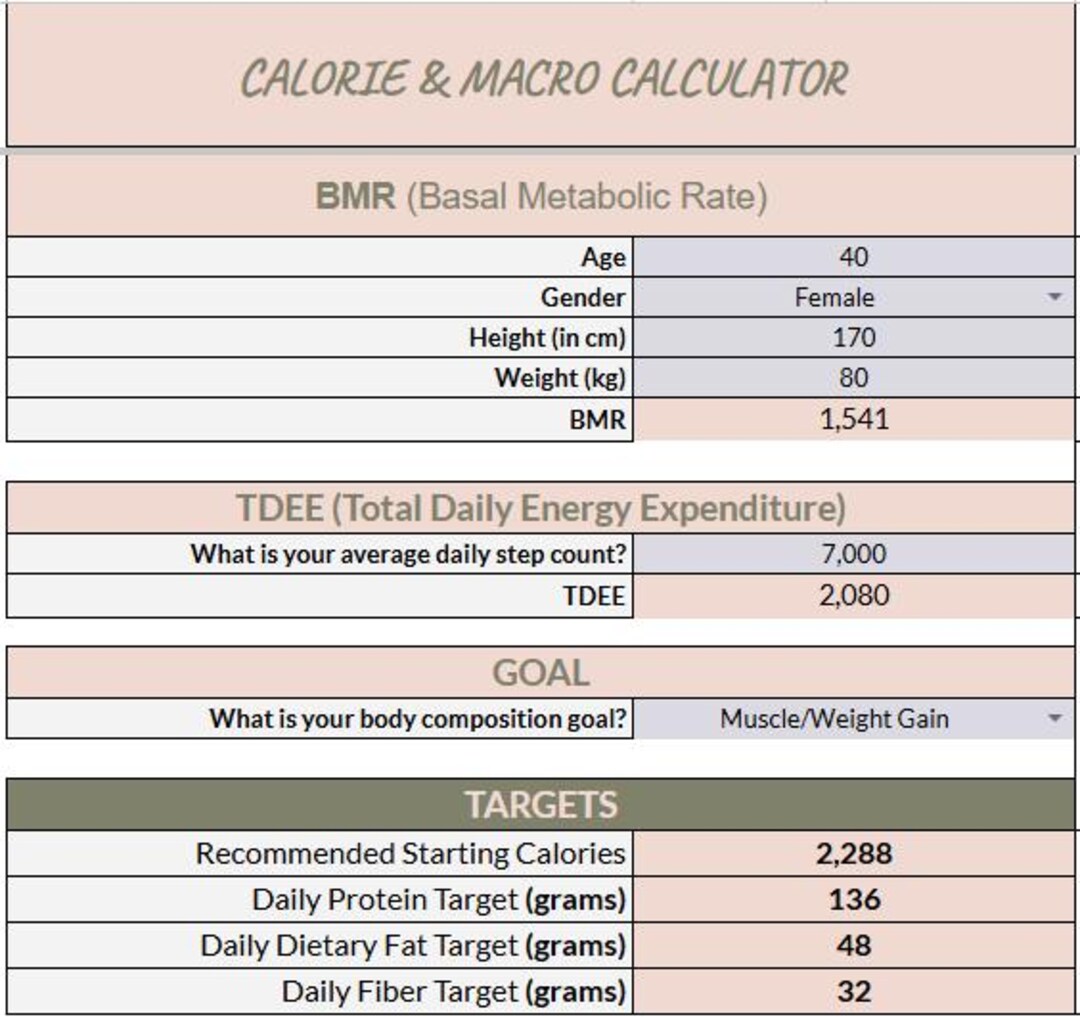 Macro Meal Planner | Calorie Tracker | Macro Counter | Google Sheets ...
