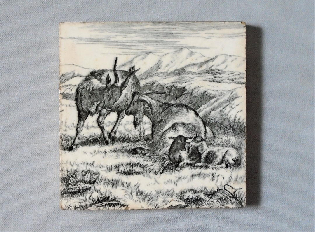 Minton Tile Animals of the Farm Series, Goats in Black and White - Etsy