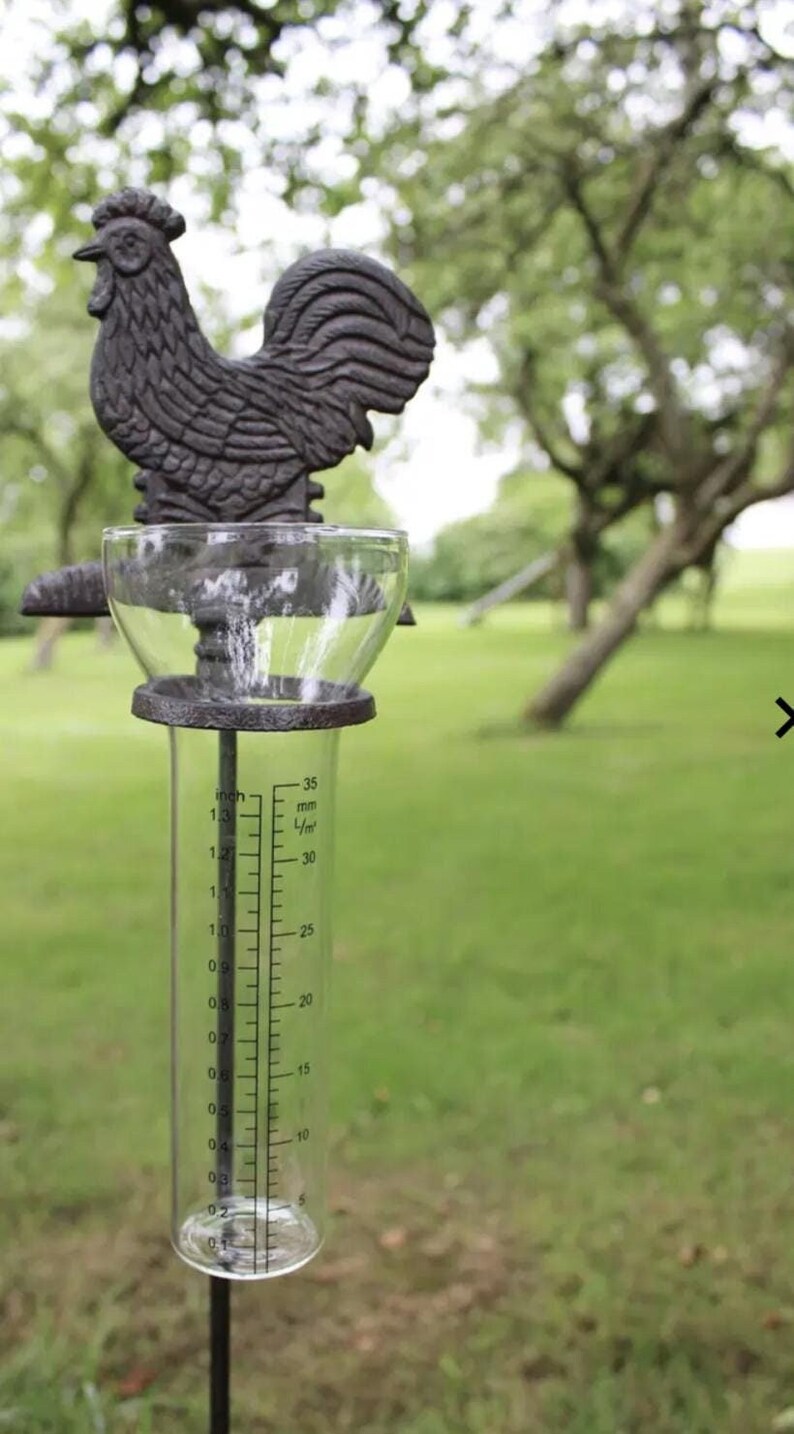 Cast Iron Garden Rain Gauge Rustic Chicken and Glass Bowl Rainfall ...
