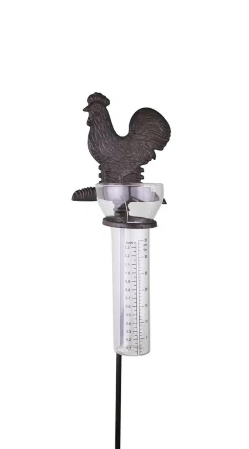 Cast Iron Garden Rain Gauge Rustic Chicken and Glass Bowl Rainfall ...