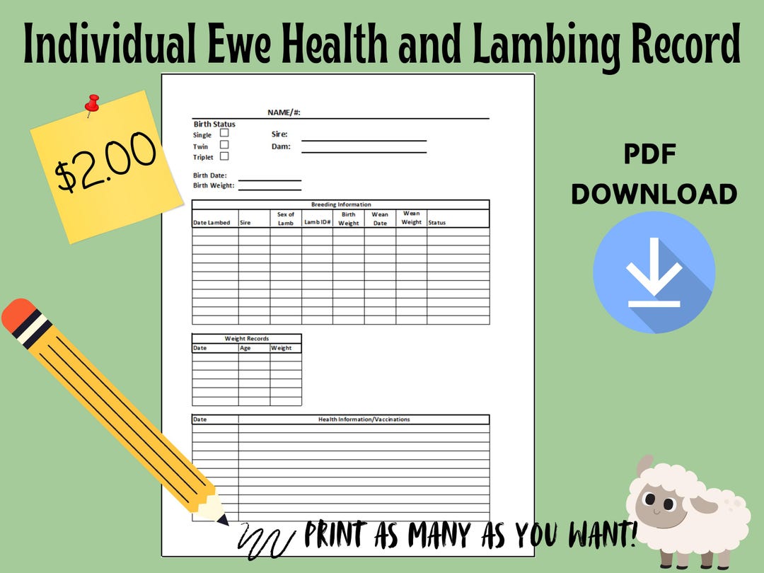 Individual Ewe Lambing Life and Health Record - Digital Download, Print ...