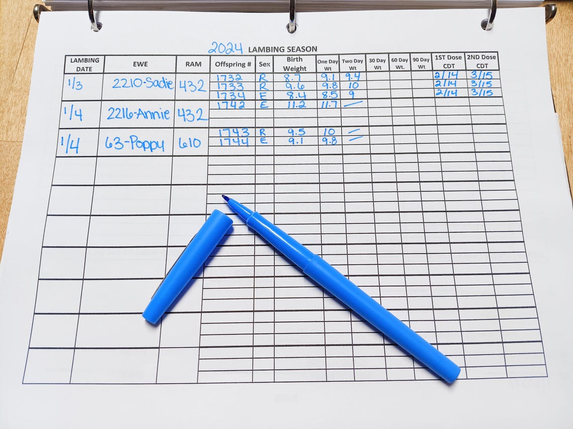 Lambing Season Record Sheet - Digital Download, Print as Much as You ...