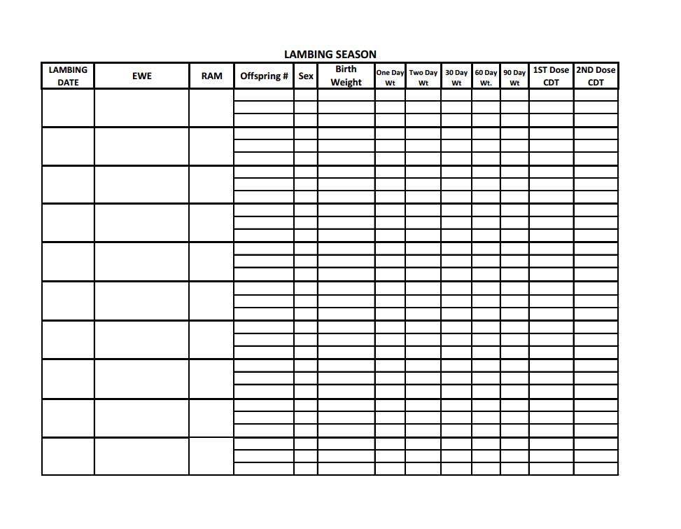 Lambing Season Record Sheet - Digital Download, Print as Much as You ...