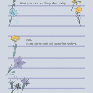 100 Days of Gratitude Journal: Daily Prompts & Exercises for ...