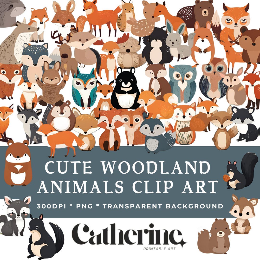 Cute Woodland Animals Clipart for Baby Decor, or for Designing for ...