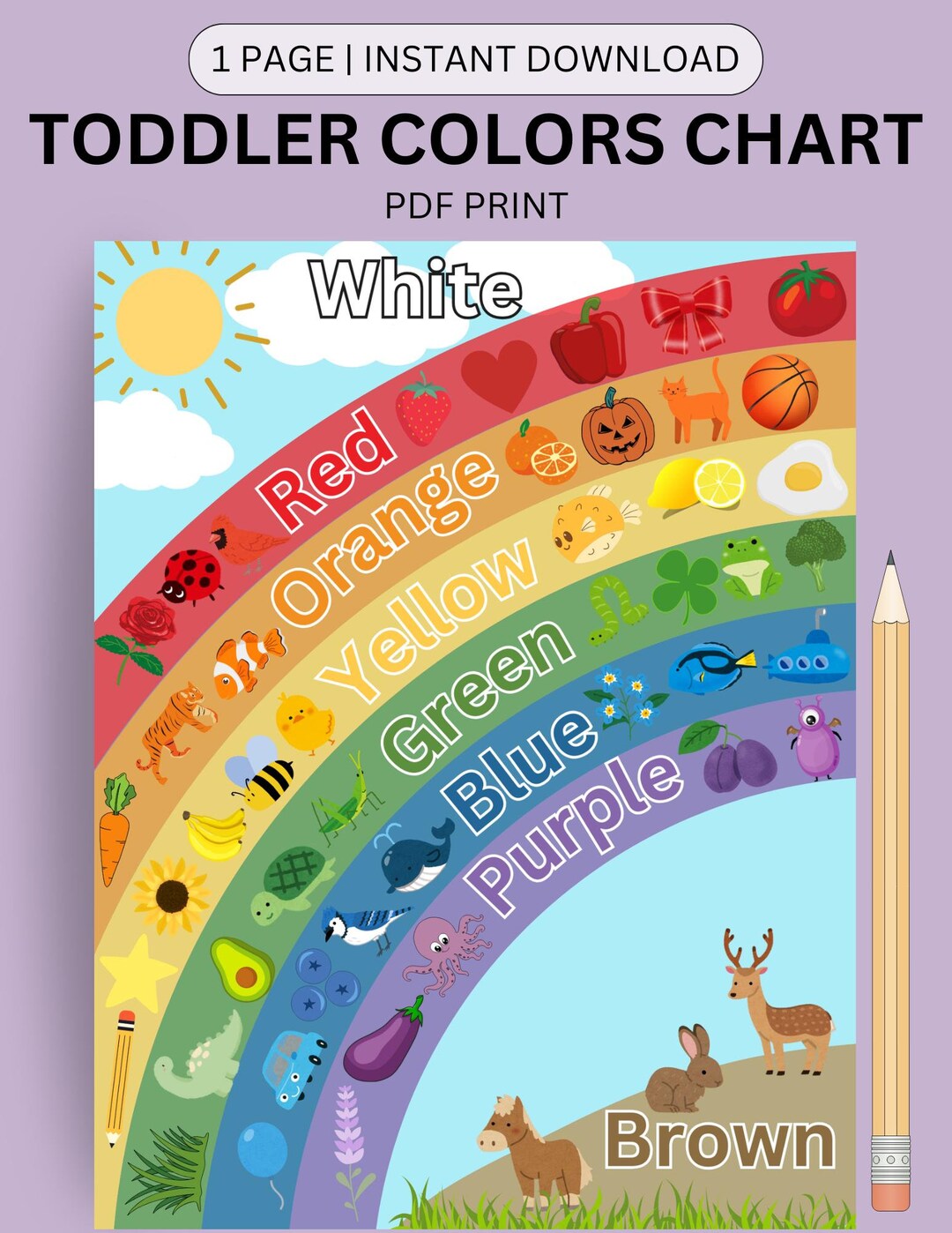 Let’s Learn Colors! - Etsy