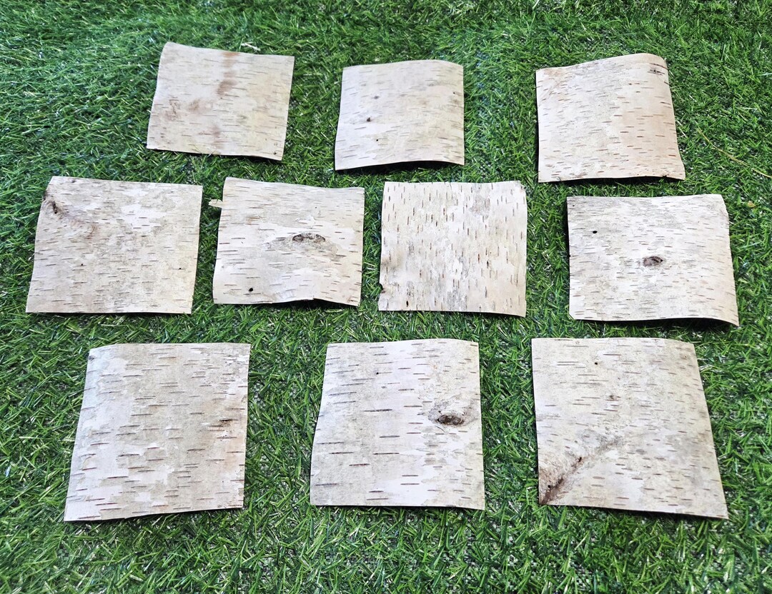 Birch Bark Sheets, Birch Wood, Bulk Birch, Fairy Garden, Crafts Birch ...