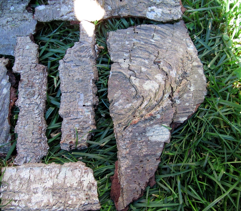 Wood Bark, Tree Bark Pieces, Wood Crafts, Fairy Garden Decoration ...