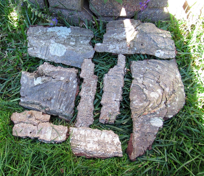 Wood Bark Tree Bark Pieces Wood Crafts Fairy Garden - Etsy