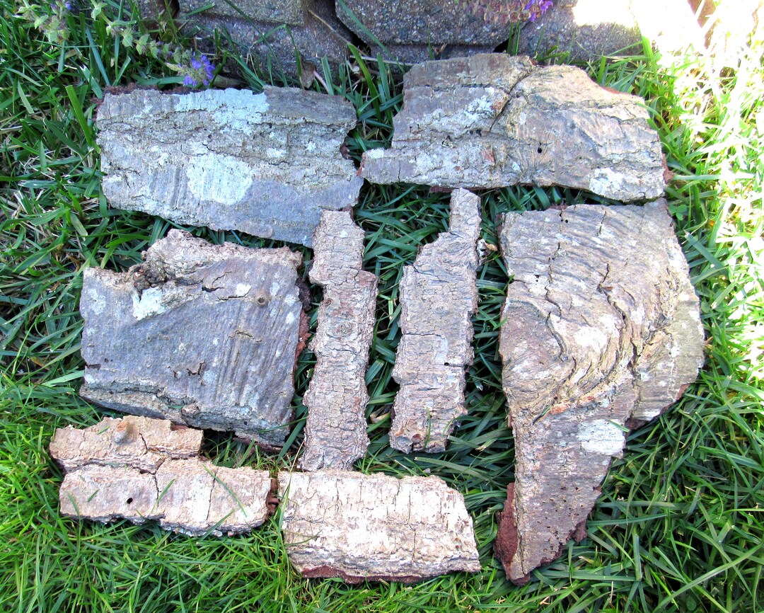 Wood Bark, Tree Bark Pieces, Wood Crafts, Fairy Garden Decoration ...