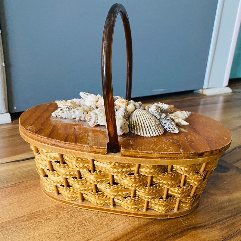 Seashell Purse - Etsy