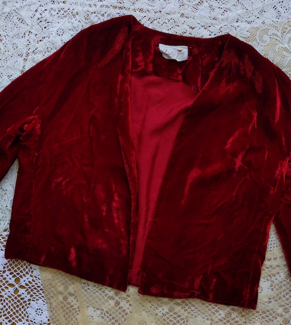 Sexy Slinky Vintage 70s Dark Red Crushed Velvet Cropp… - Gem