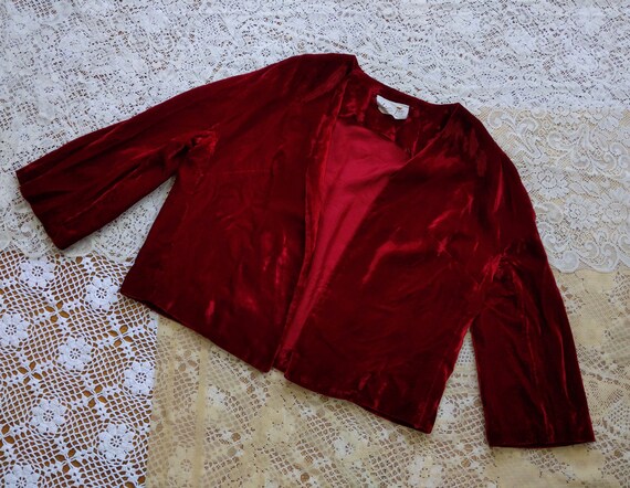 Sexy Slinky Vintage 70s Dark Red Crushed Velvet Cropp… - Gem