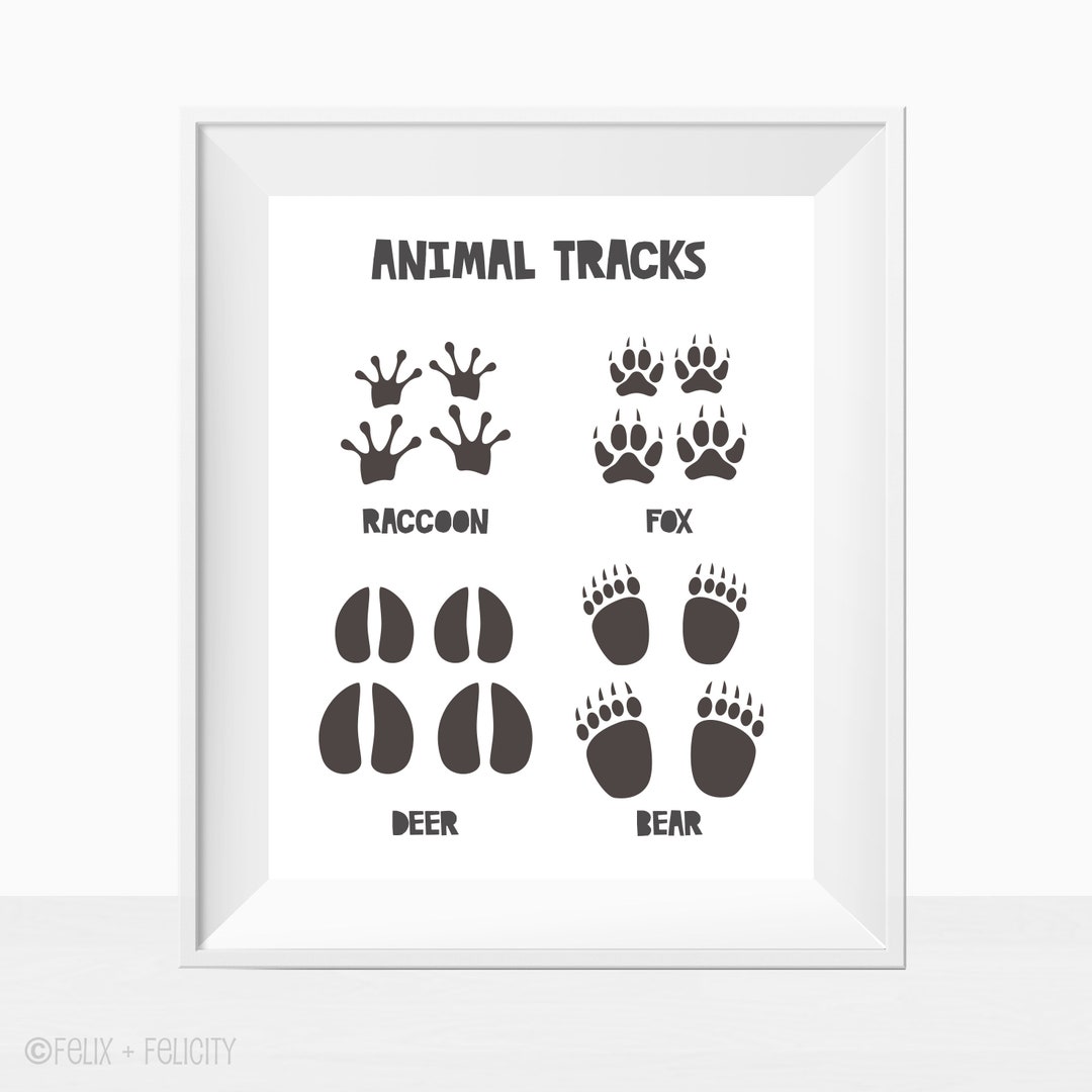 Printable Animal Track Print, Woodland Animal Theme Nursery, Gender ...