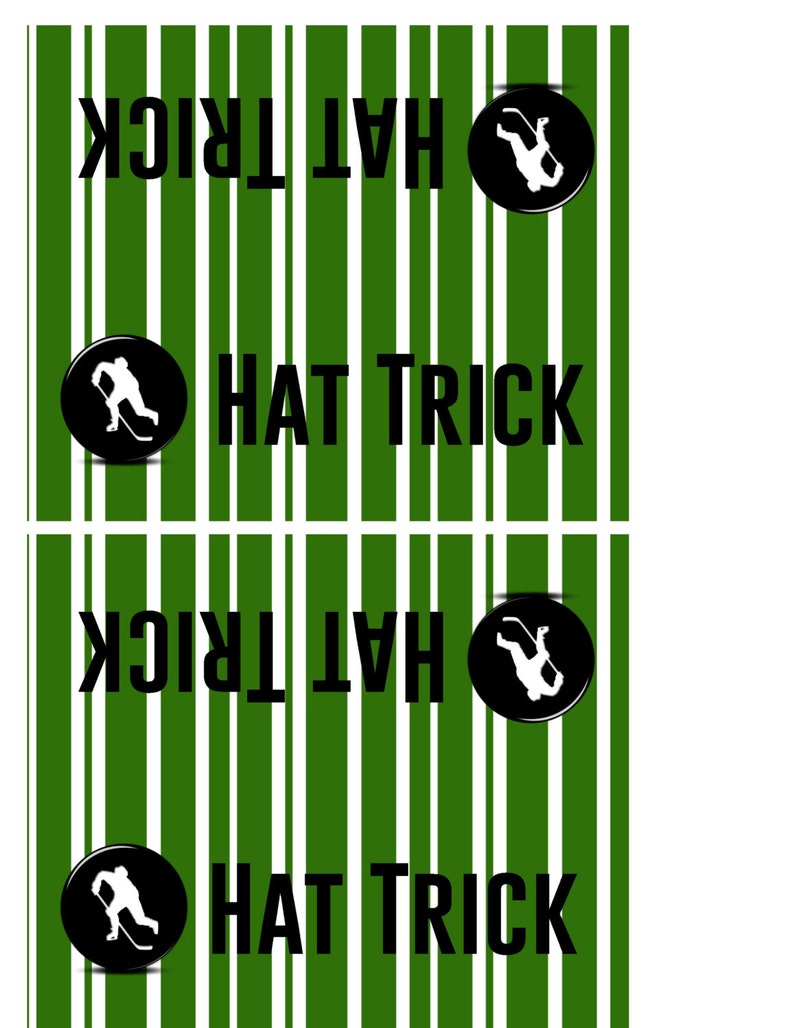 Hat Trick Bag Hockey Birthday Party Treat Topper Bags Green Minnesota ...