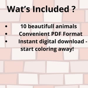 Whiskers & Wonders: Playful Kittens Coloring Adventure - Etsy