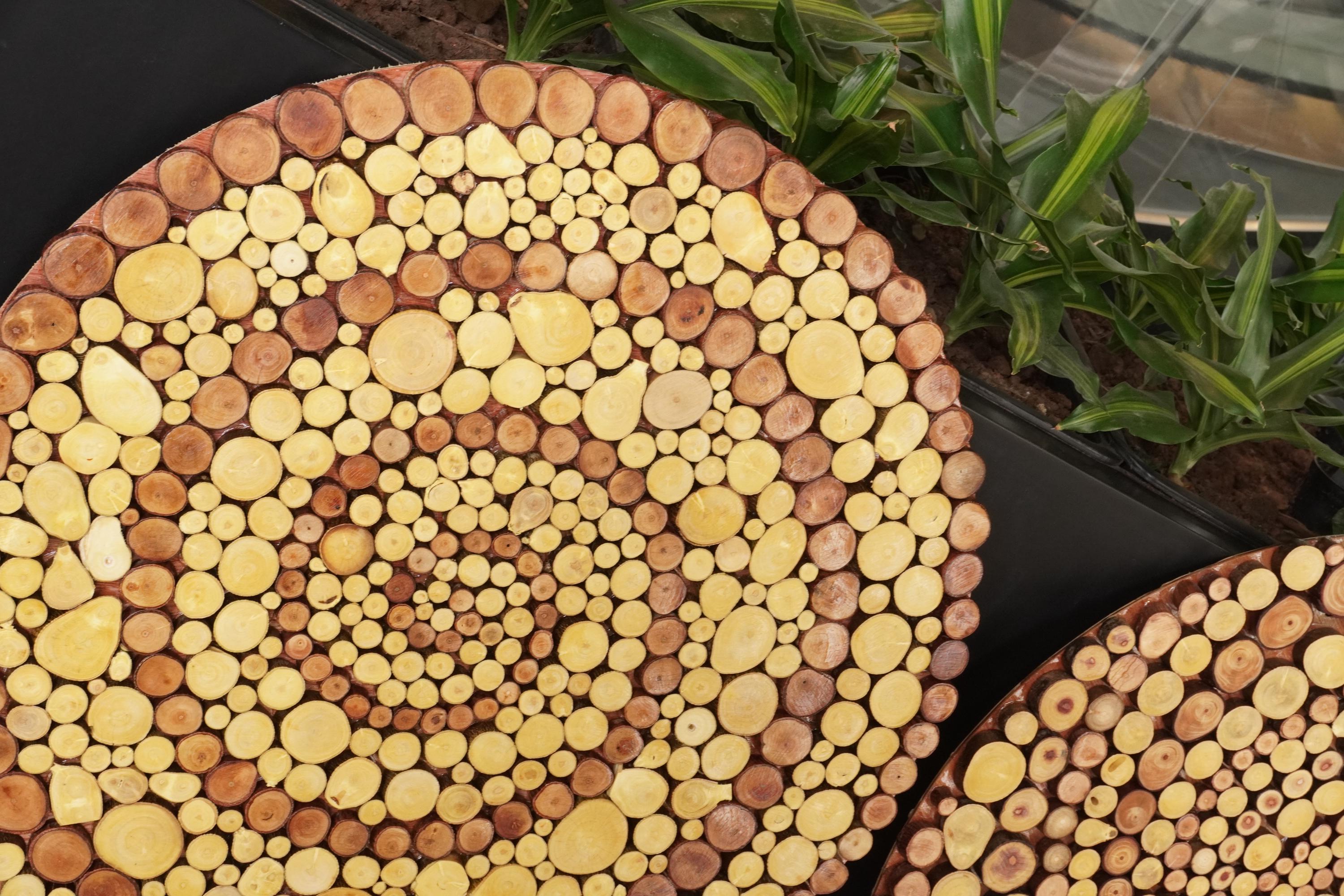 Concentric Circle Wood Wall Art – Handmade Round Natural Wood Slice ...