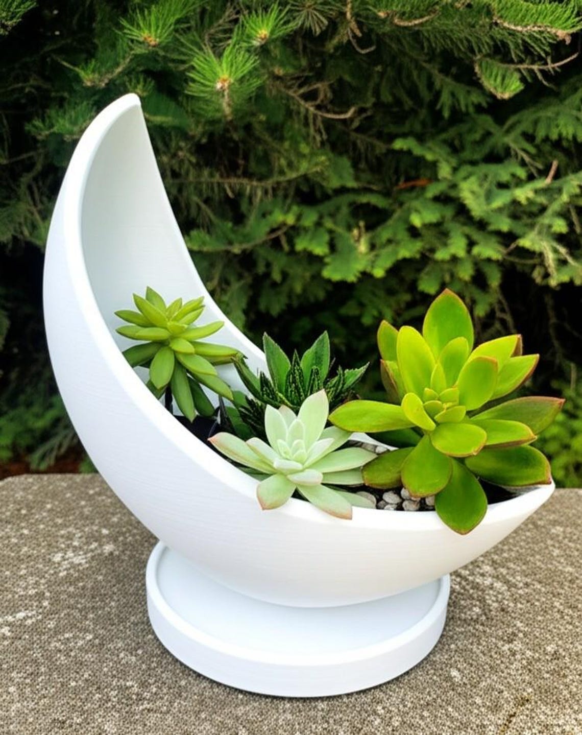 Half-moon Planter With Drain Tray – Modern Indoor Pot for Succulents ...