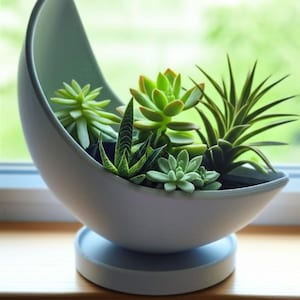 Half-moon Planter With Drain Tray – Modern Indoor Pot for Succulents ...