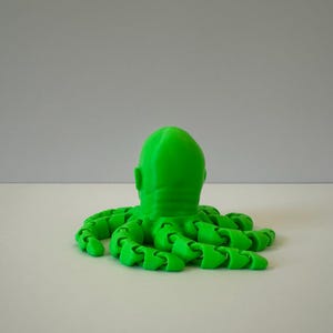 3D Printed Articulated the Rock Rocktopus Figurine (pick Your Color ...