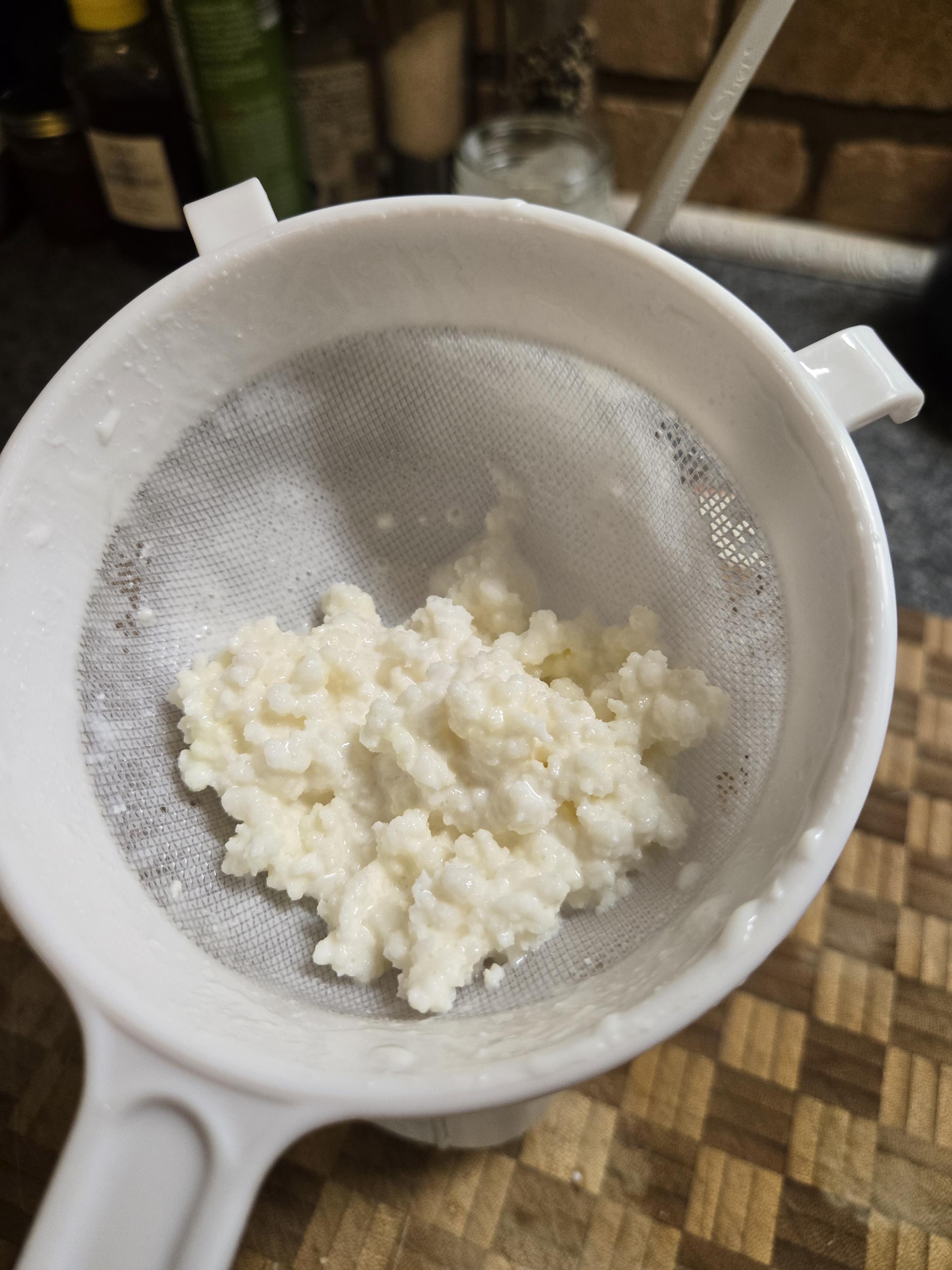 Milk Kefir Grains to Make Your Own Milk Kefir at Home - Etsy