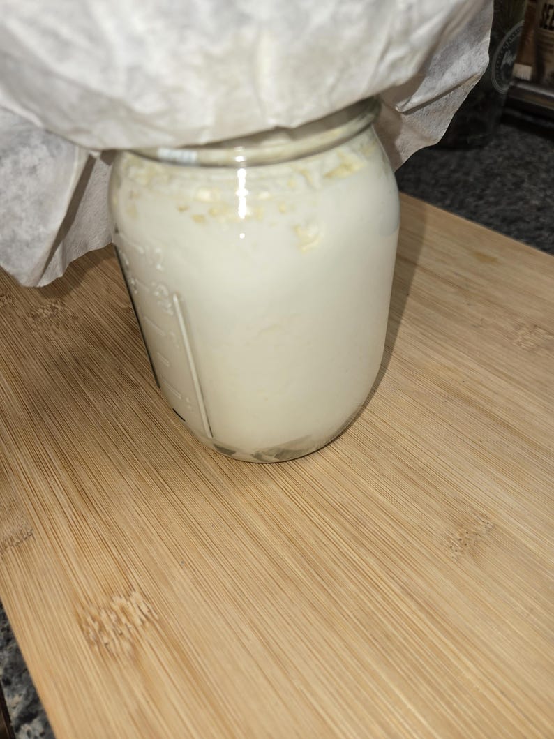 Milk Kefir Grains to Make Your Own Milk Kefir at Home - Etsy