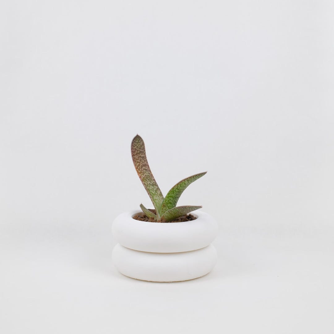 Double-donut Mini Stacking Planter Pot: Modern Colorful Home Decor - Etsy