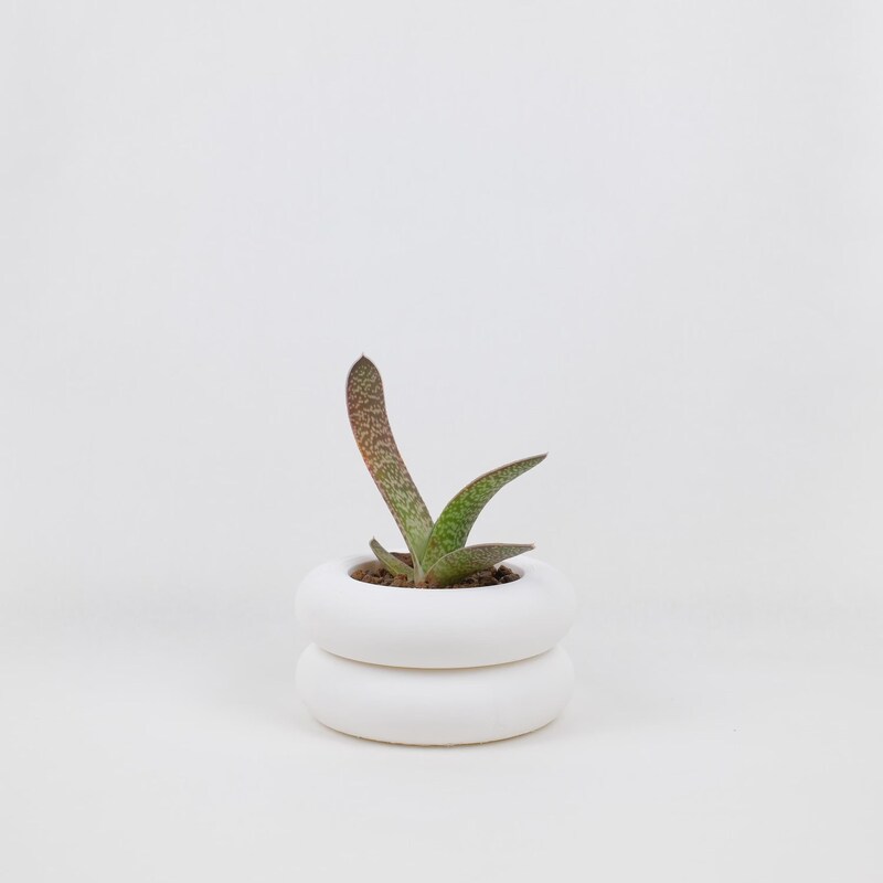 Doughnut Pot - Etsy