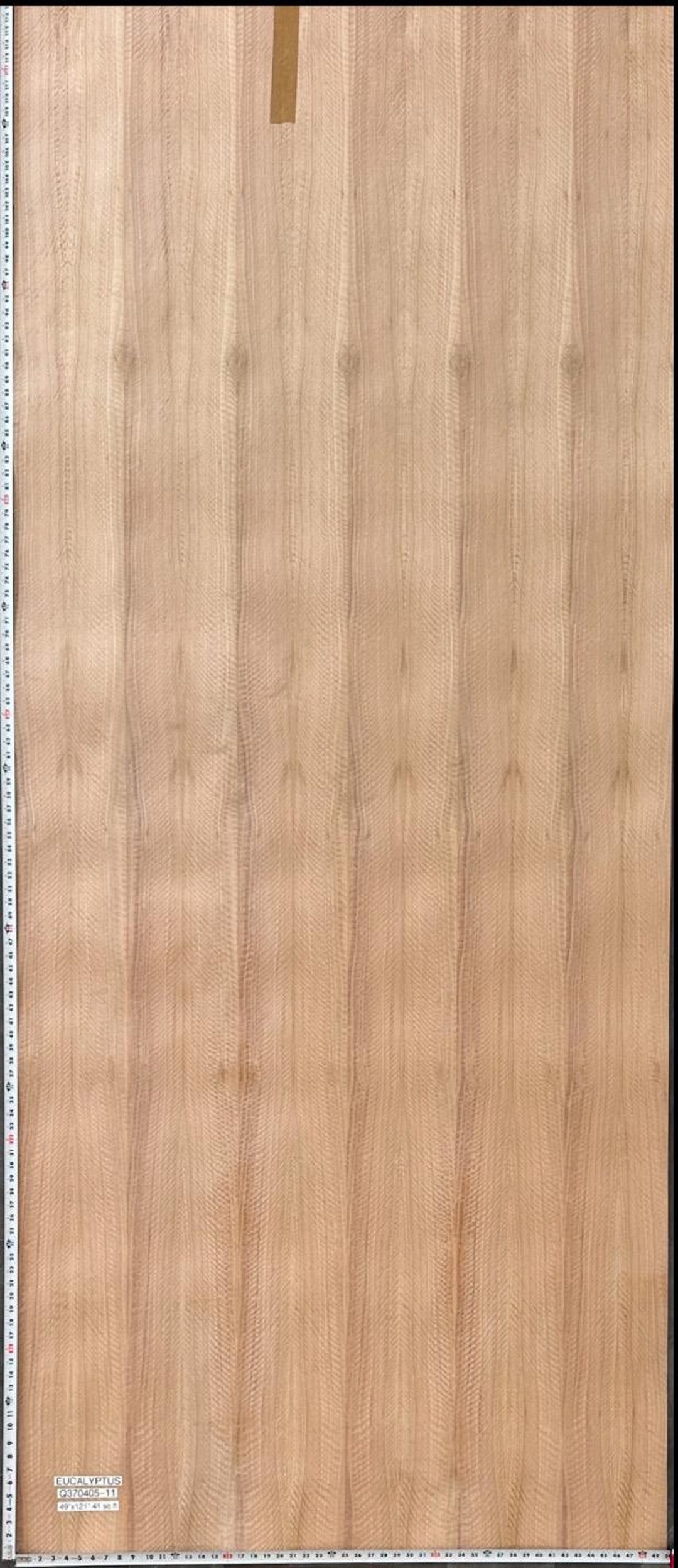 Eucalyptus Figured 6 Tile Slip Matched Face Sheet 49” X 121” - Etsy