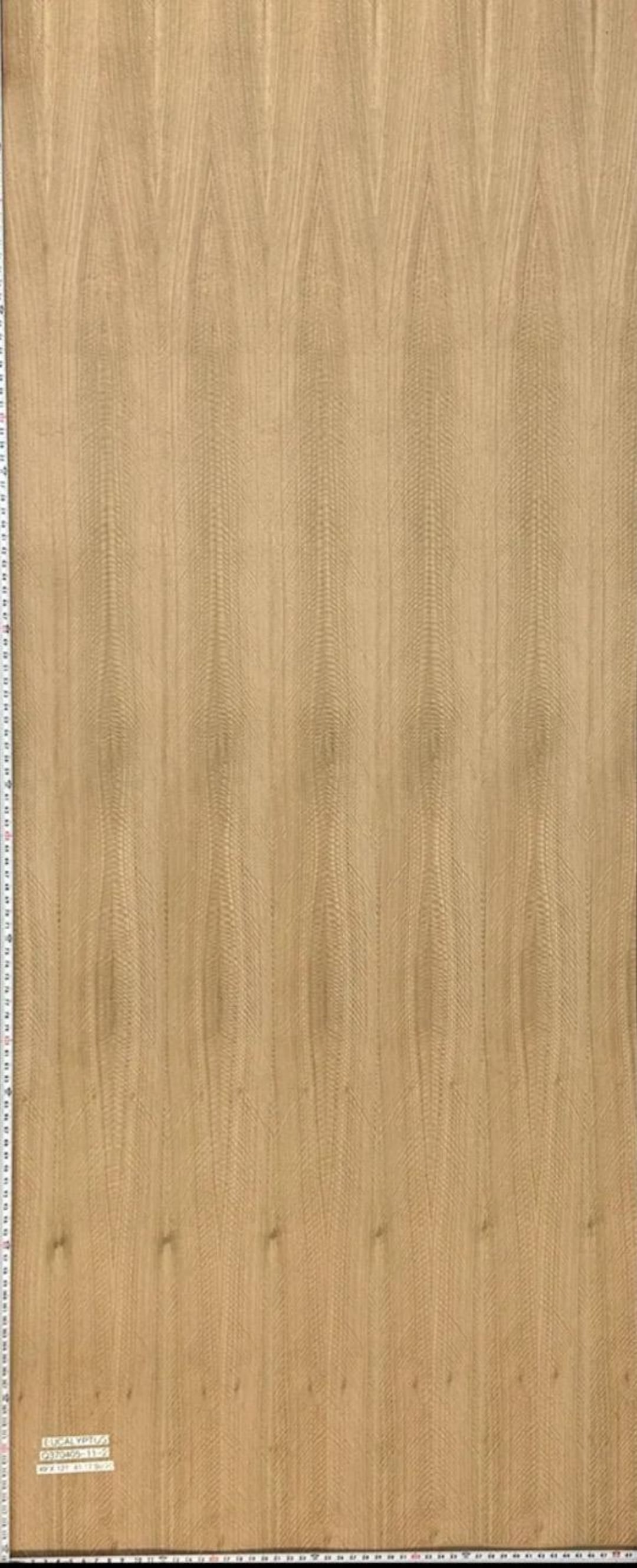 Eucalyptus Beeswing Figured 12 Tile Book Matched Face Sheet 49” X 97 ...