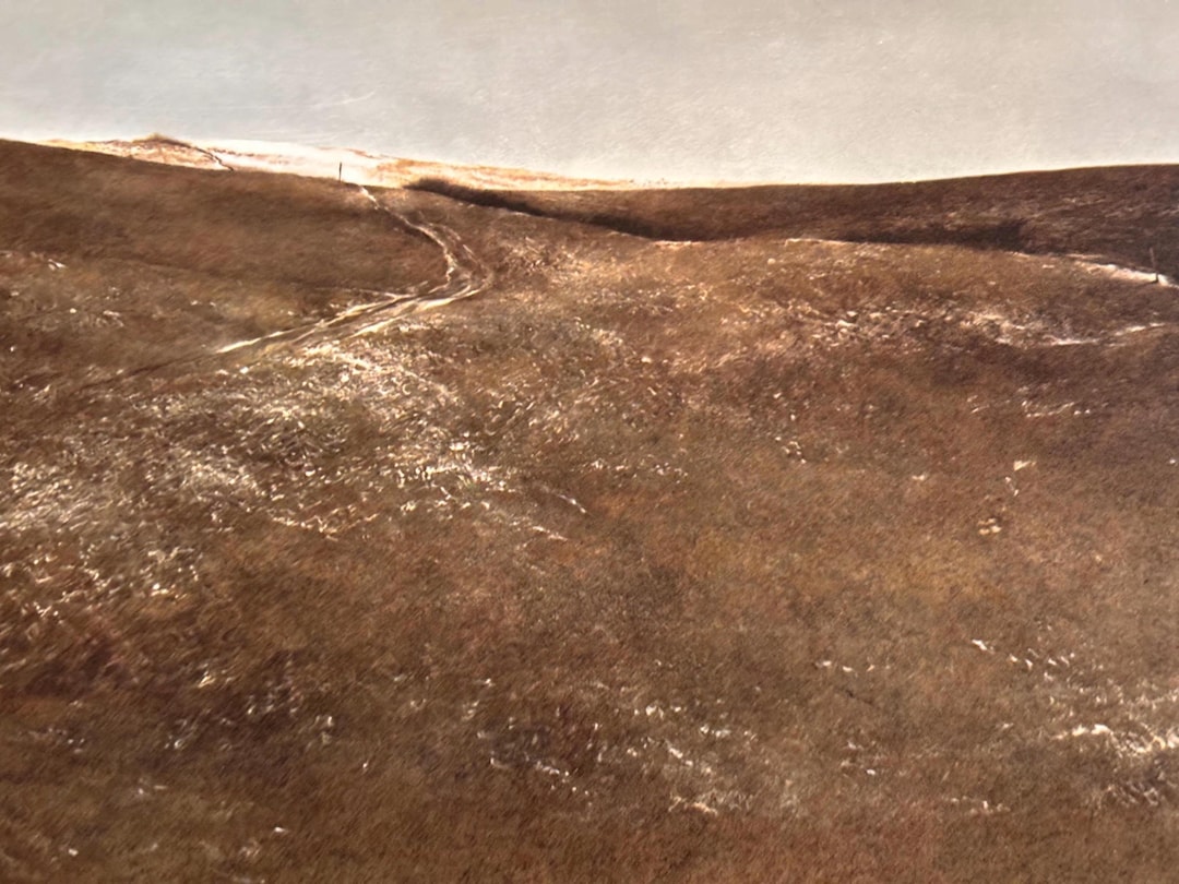 Andrew Wyeth, Snow Flurries | Published Lithograph Print Mid 20th ...
