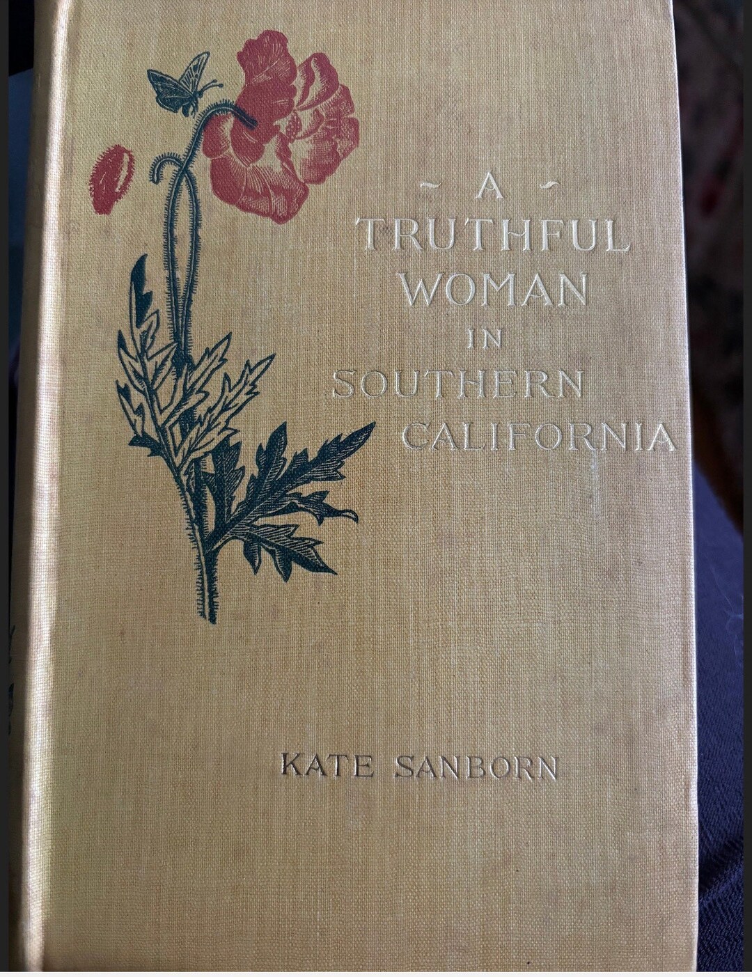 A Truthful Woman in Southern California Kate Sanborn 1893 First Edition ...