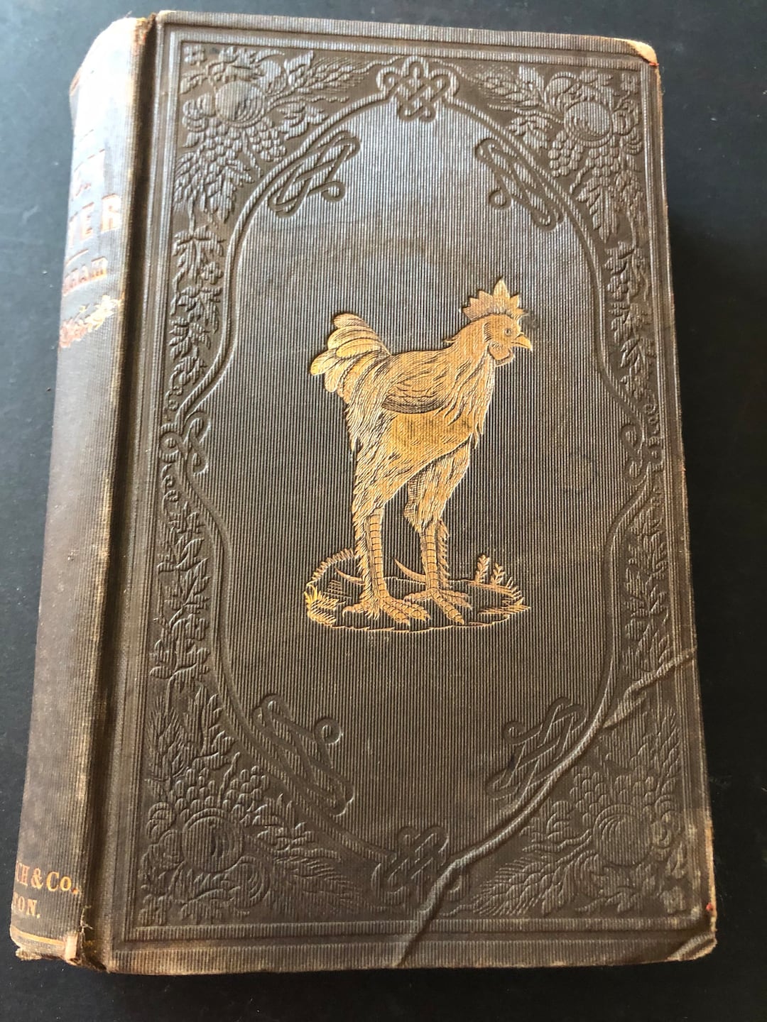 The History of the Hen Fever by George P Burnham A Humorous Record 1856 ...
