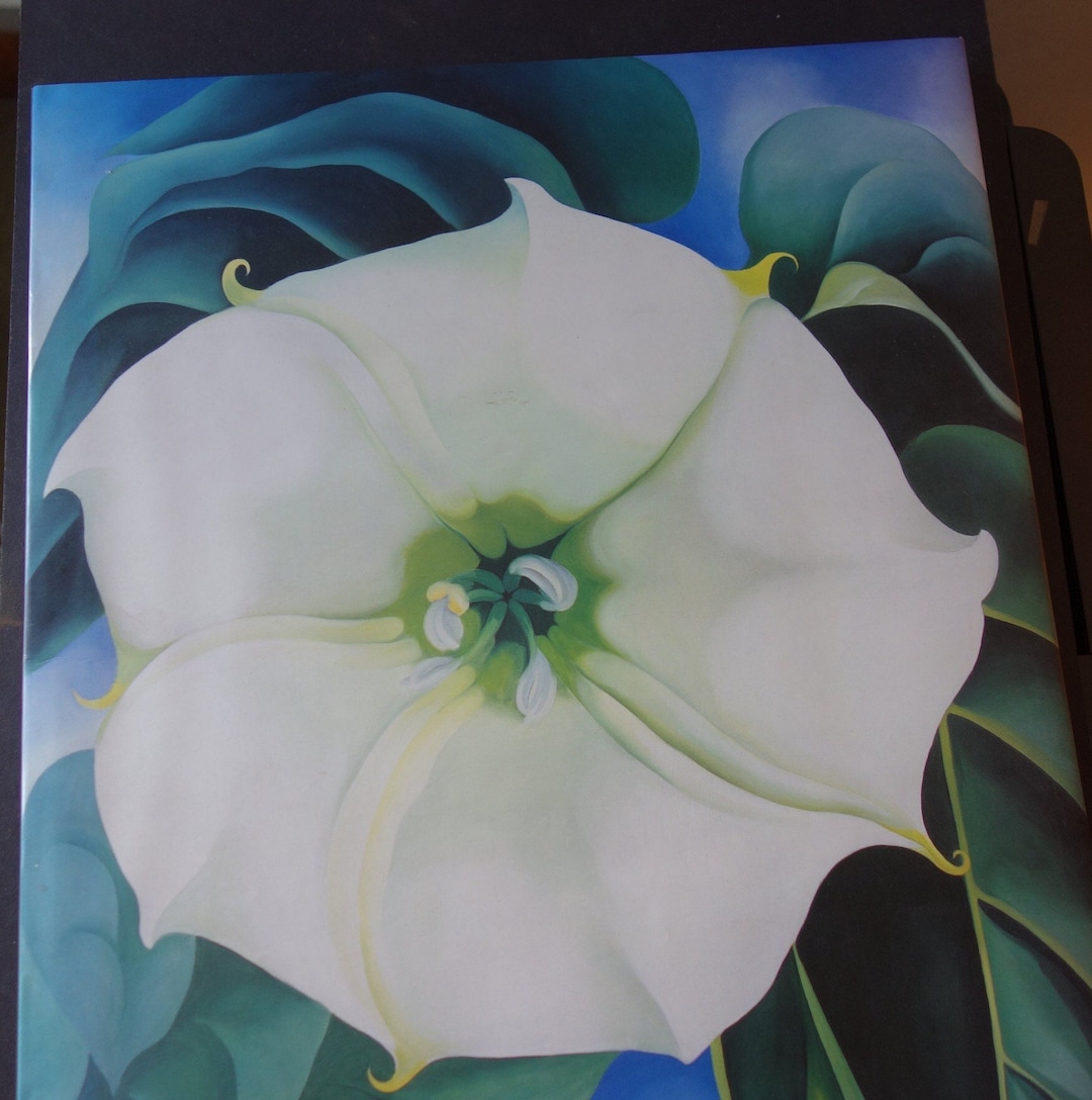 Georgia O'keeffe One Hundred Flowers Book 1987 First Edition Large ...