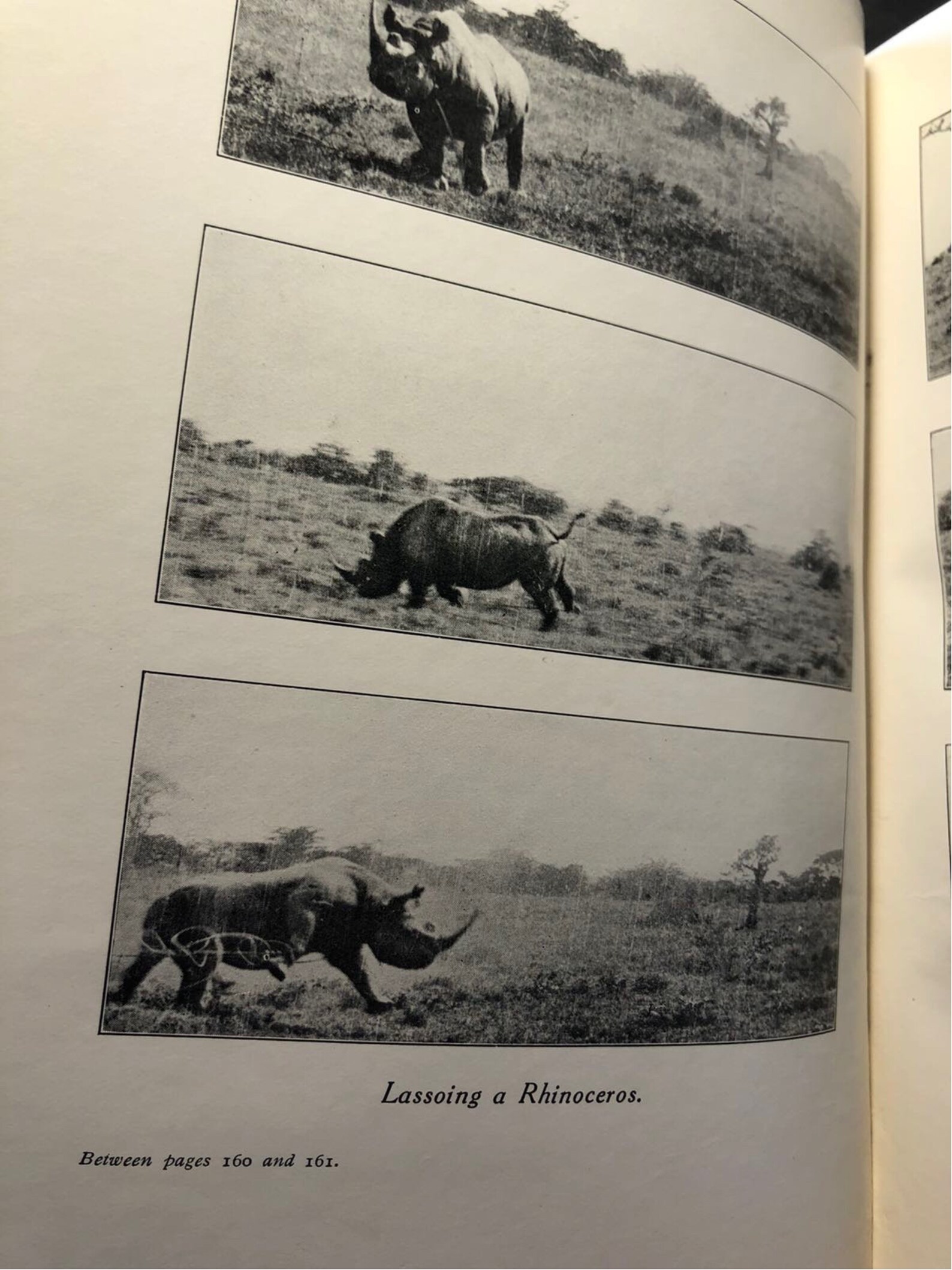 Photographing Wildlife Across the World Cherry Kearton 1923 - Etsy