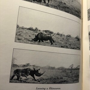 Photographing Wildlife Across the World Cherry Kearton 1923 Edition ...