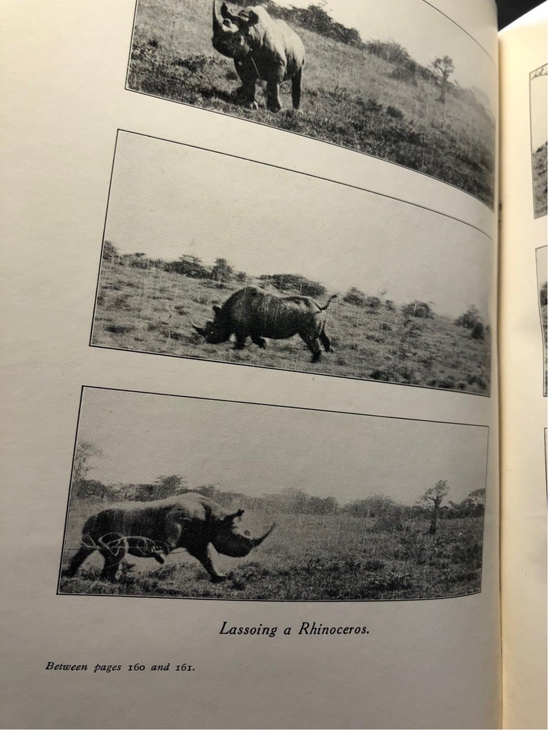 Photographing Wildlife Across the World Cherry Kearton 1923 Edition ...