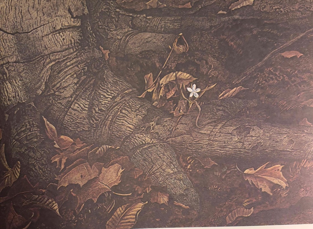 Andrew Wyeth, Spring Beauty | Published Lithograph Print | Mid 20th ...